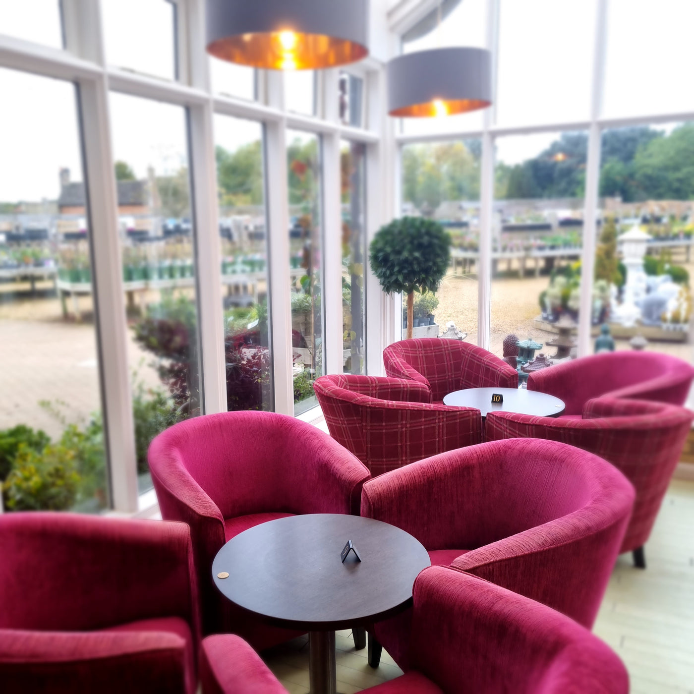 Mulberry Café